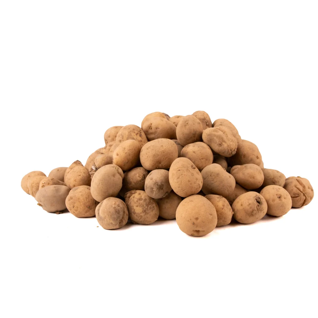 Seed Potato BPI Roast/Boil - 7 Tubers – GROW FOLK