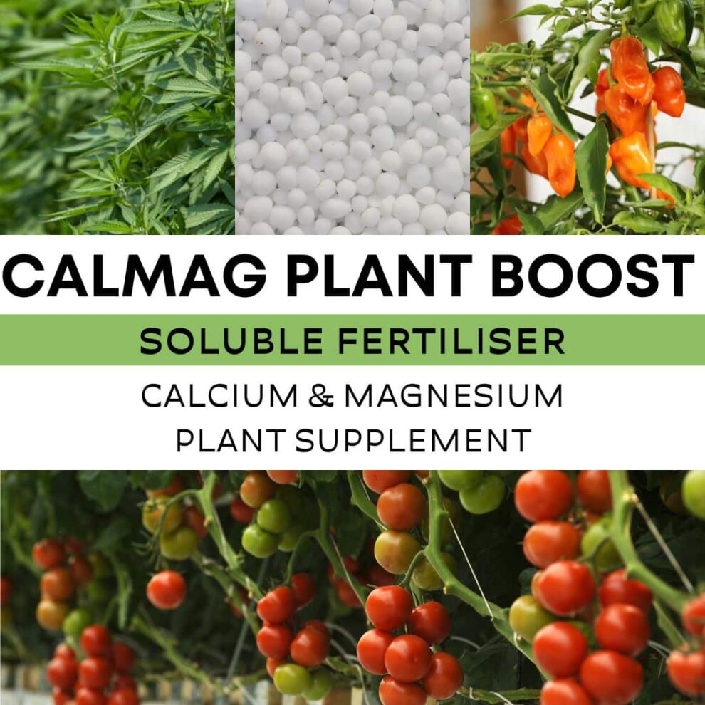 CalMag Plant Boost - Calcium Magnesium Supplement | GROW FOLK