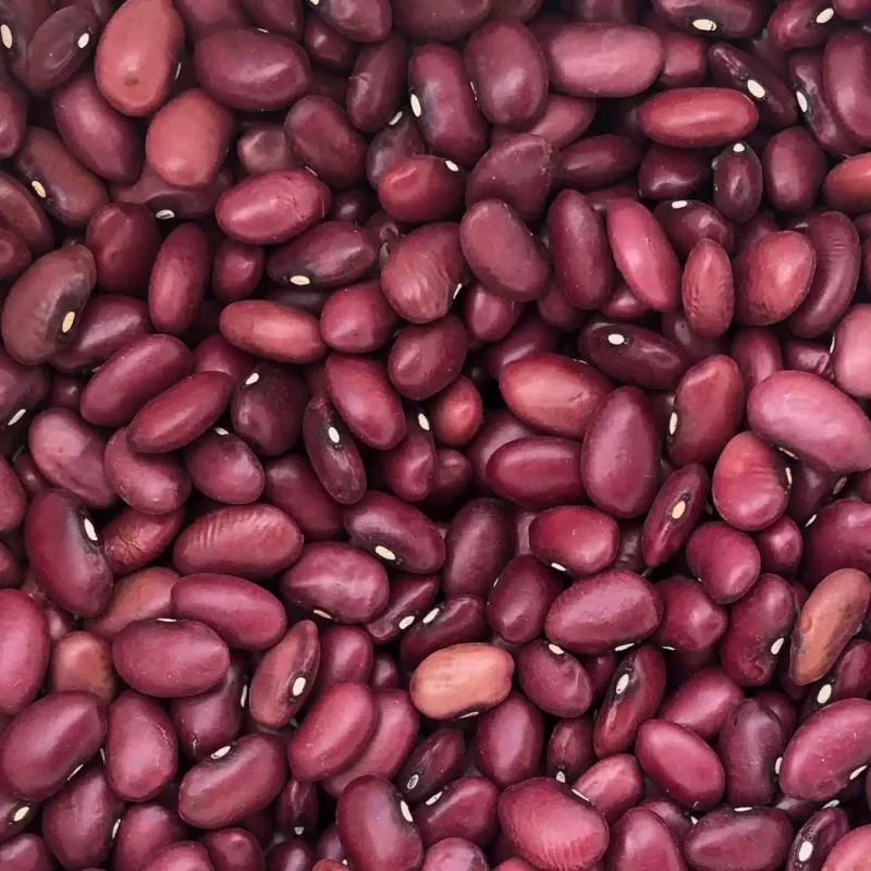 Beans - Pole - Red Calico Lima – GROW FOLK