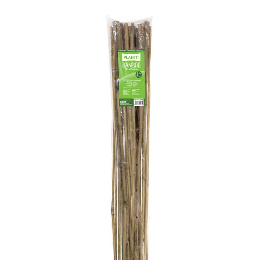 Bamboo Stakes 90cm - Pack of 25 | GROW FOLK